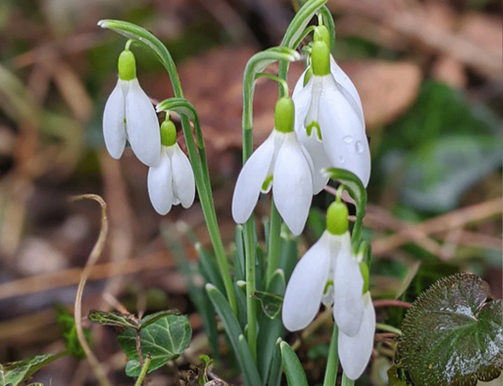 Agroinfo | Medijski portal